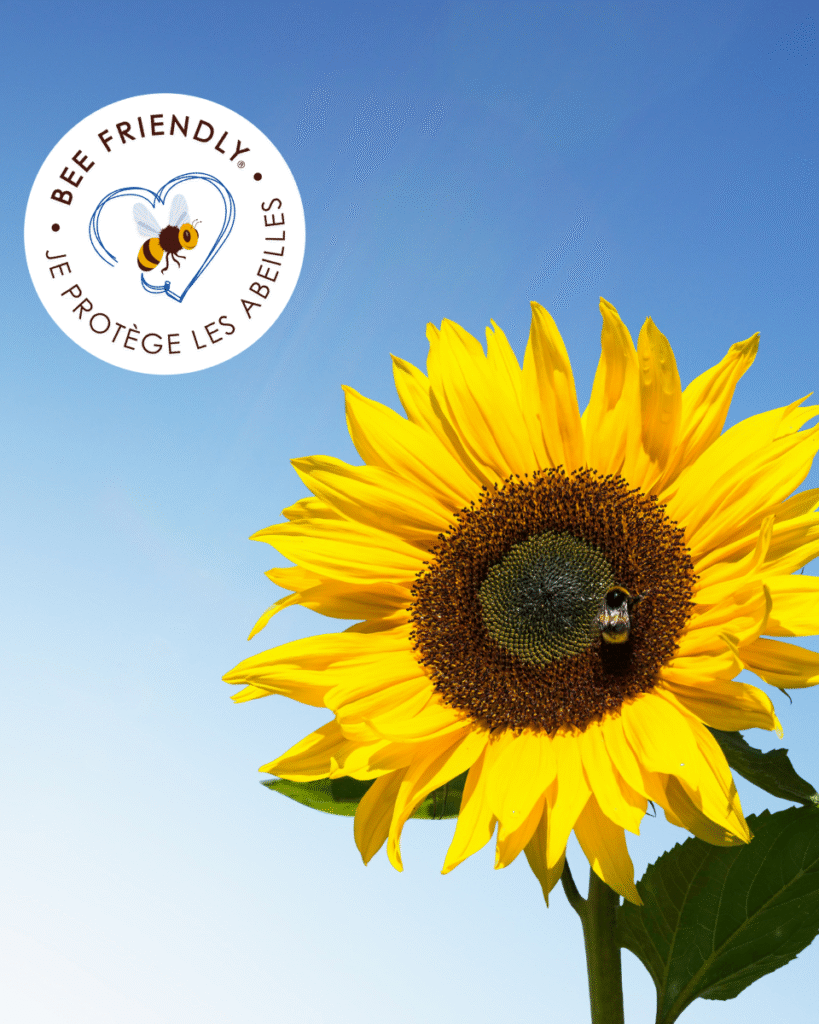 Découvrez Bodin - Bodin Bio